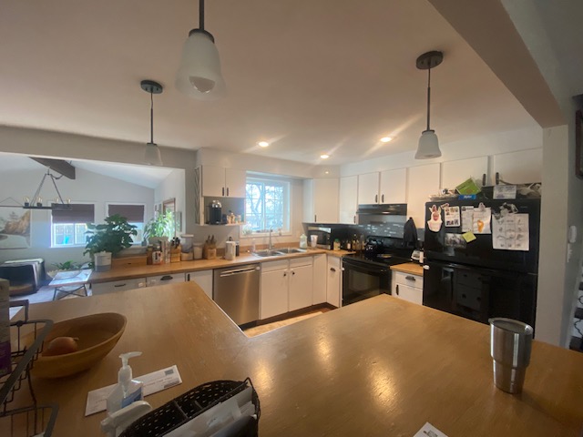 Green Goddess Kitchen Renovation - Kenchel Interior Design